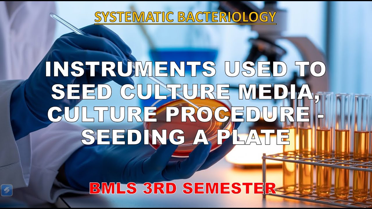 Instruments Used to Seed Culture Media | Culture Procedure: Seeding a ...