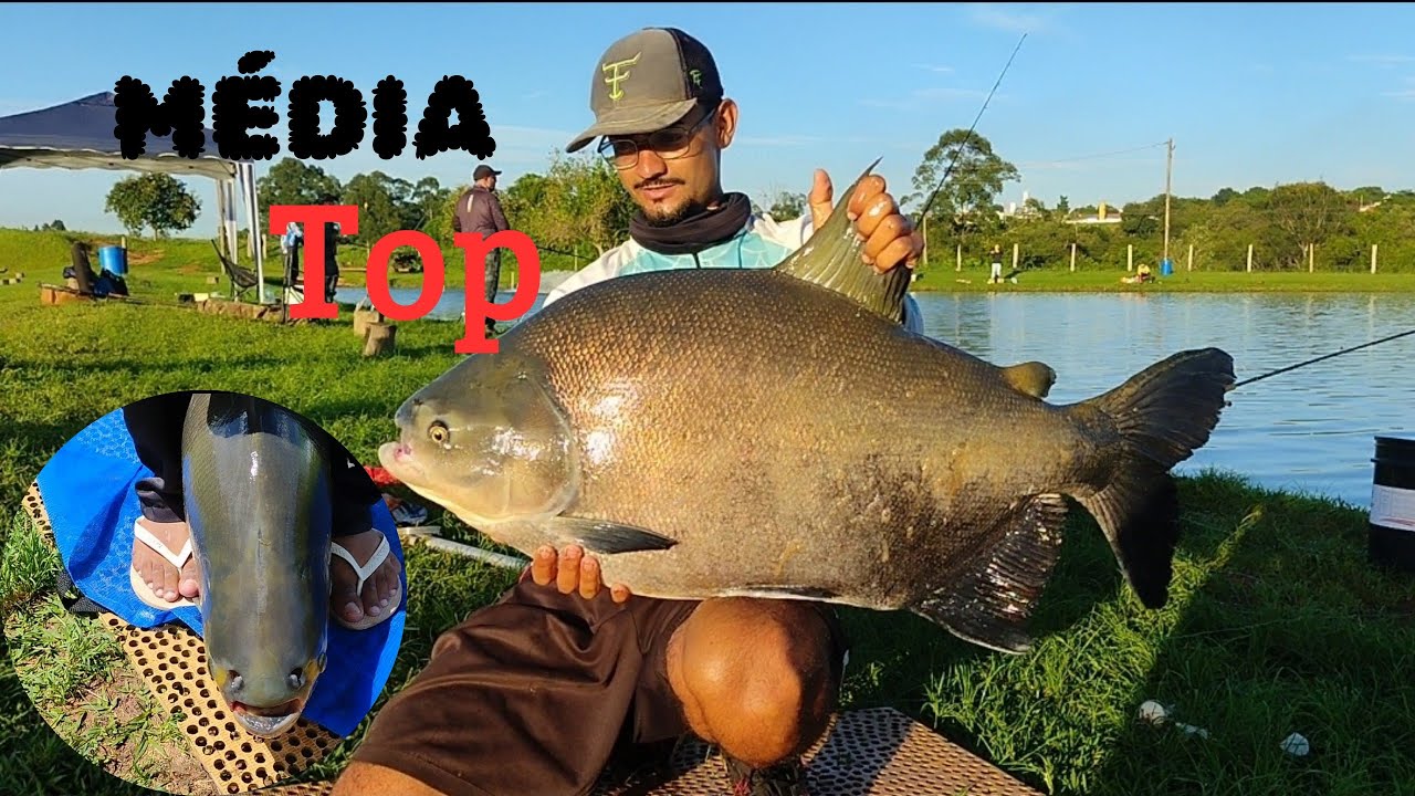 Mais uma pescaria realizada no quintal (Pesqueiro do italiano)🇮🇹. - YouTube