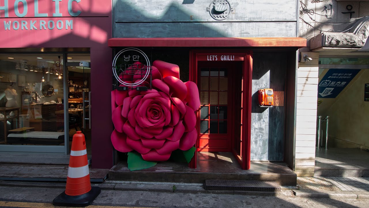 Seoul Search | Raccoon Cafe, Walk around Hongdae, Cook & Book, VR ...