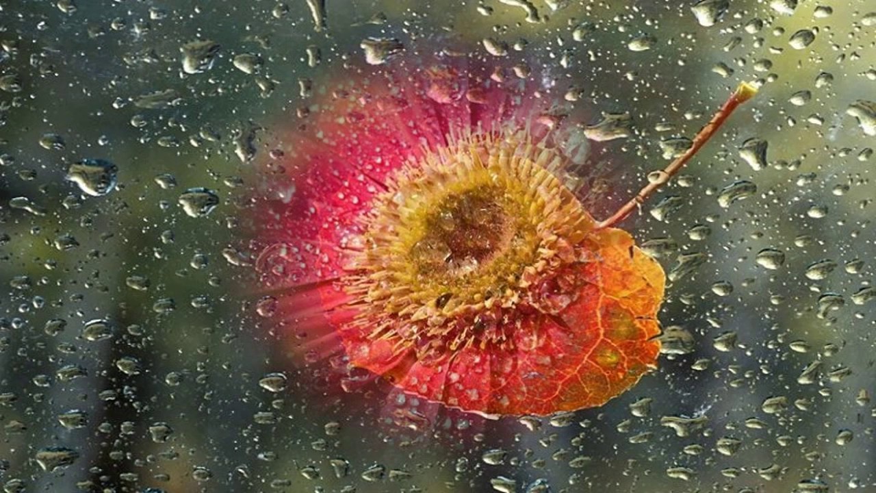 Deixa Chover C M - YouTube