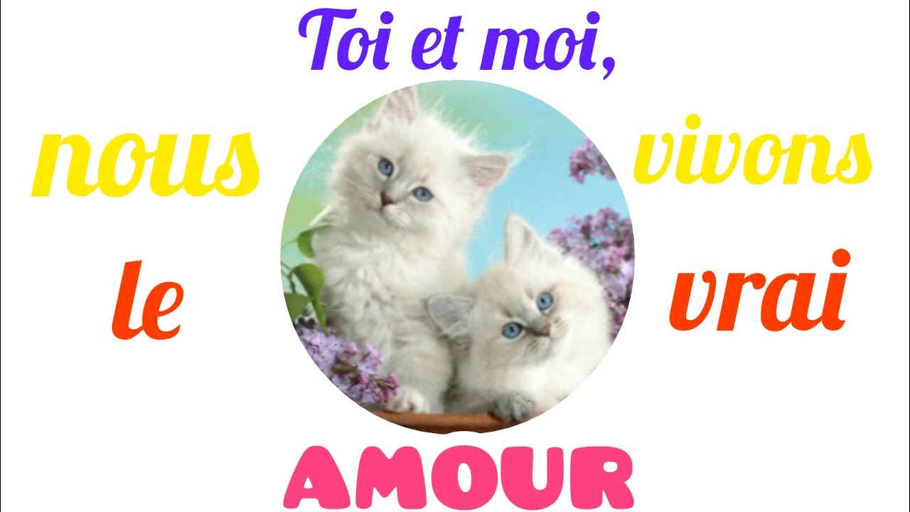 💑💏 Toi et moi, nous vivons le vrai amour. 💖 - YouTube