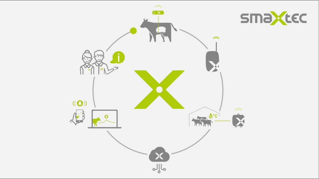 Product video | The smaXtec health system (UK version) - YouTube