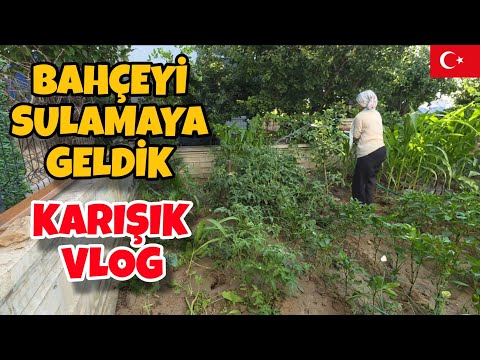 Yazlıkta Dopdolu Bir Hafta 🥰 Park Maceraları, Market Turu ve Bahçedeki Gece Sürprizi!