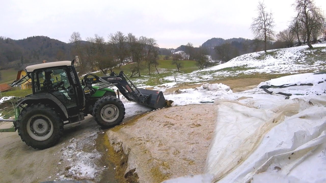 Silage Pit no. 2 | Start of Feeding Silage From the 2nd Silo - YouTube