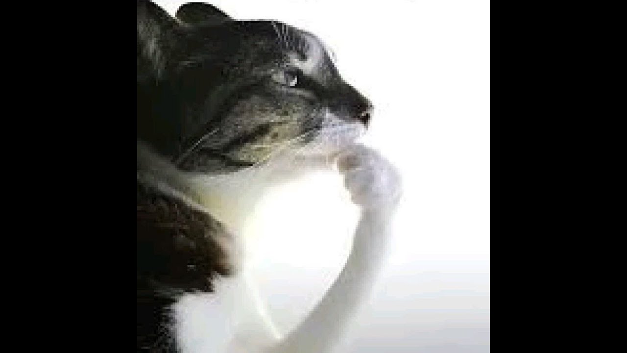 Tomando gasimba con los parceros - YouTube