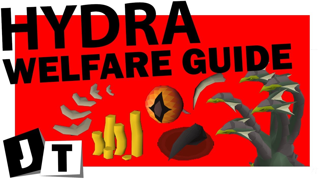 IN-DEPTH HYDRA GUIDE! | MID-HIGH LEVEL GUIDE - YouTube