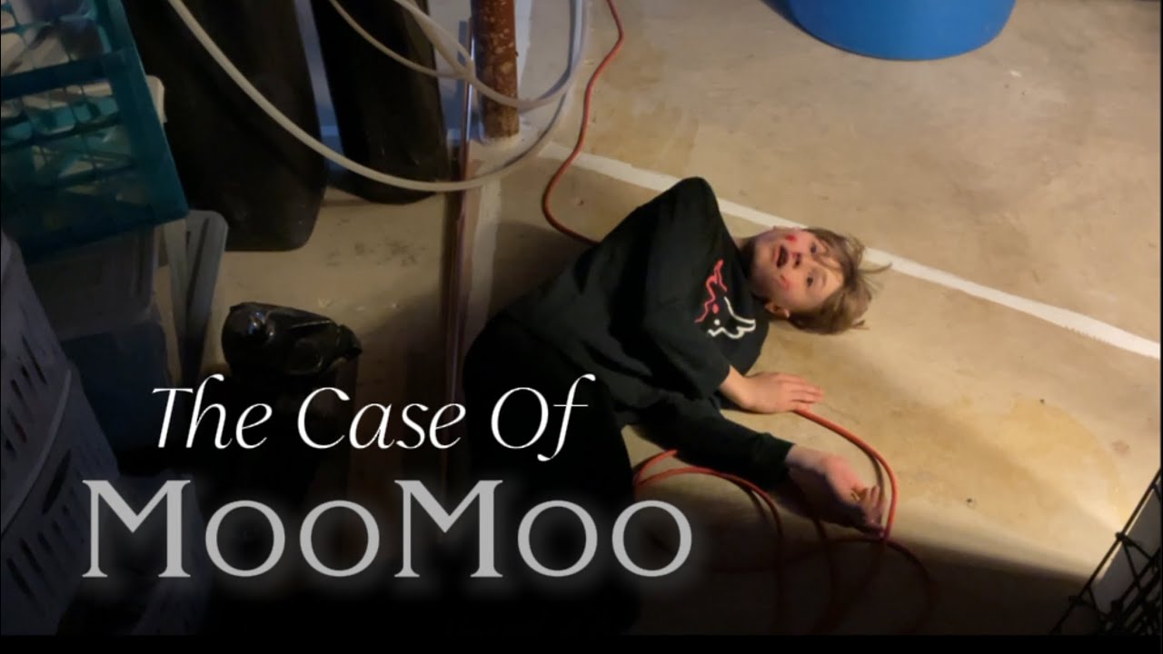The Case Of MooMoo ~ A short horror/thriller film - YouTube