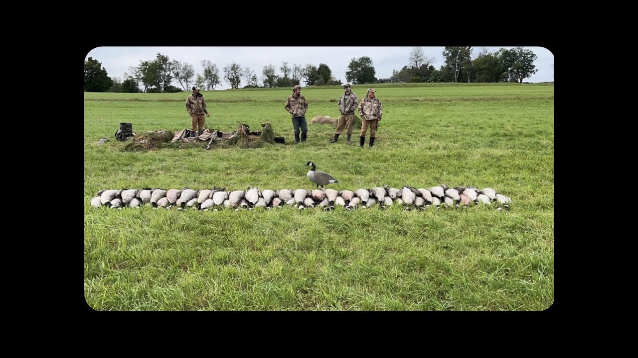 INSANE 52 bird BANGER (Best hunt of the year) - YouTube