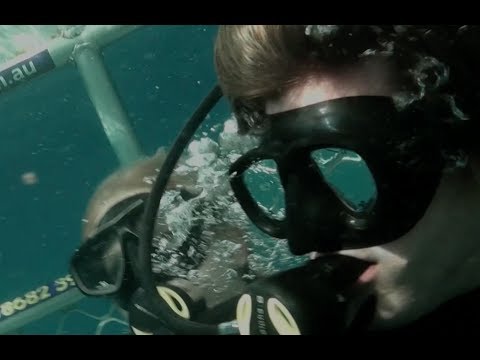 Open Water 3 Cage Dive (2017) Exclusive Clip \