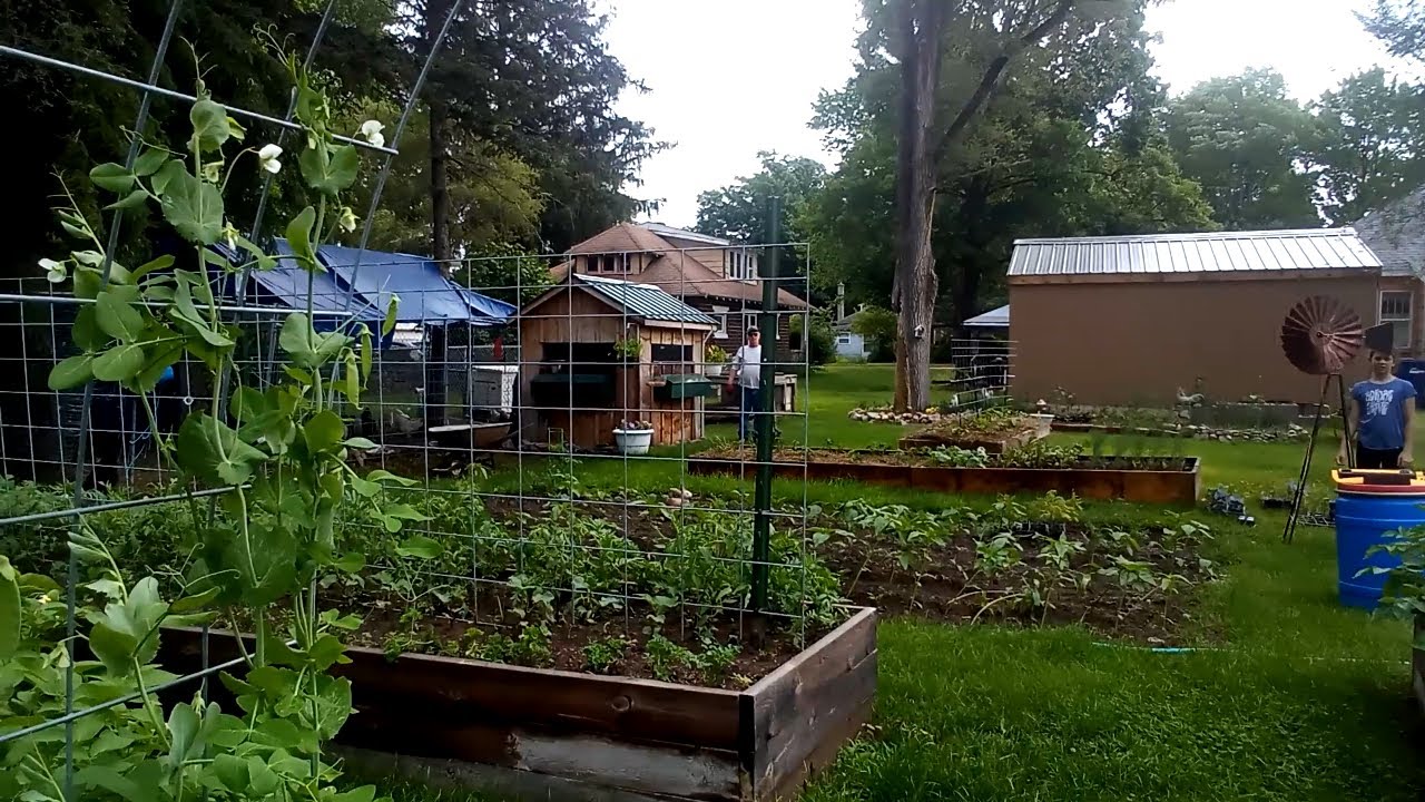 Come See our Homestead | A Little Bit of Our Life - YouTube