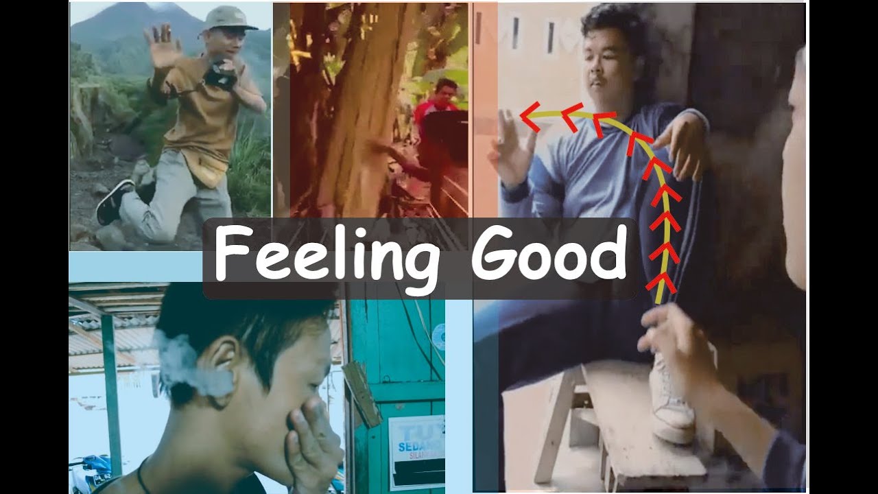 Kompilasi Video Feeling Good Viral Terbaru 2020 - YouTube
