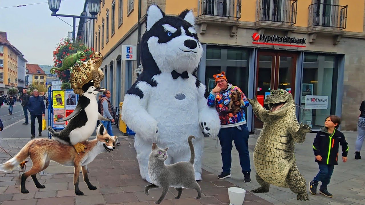 Hund Bello in Würzburg von Die Schule der magischen Tiere 4 unterwegs ...