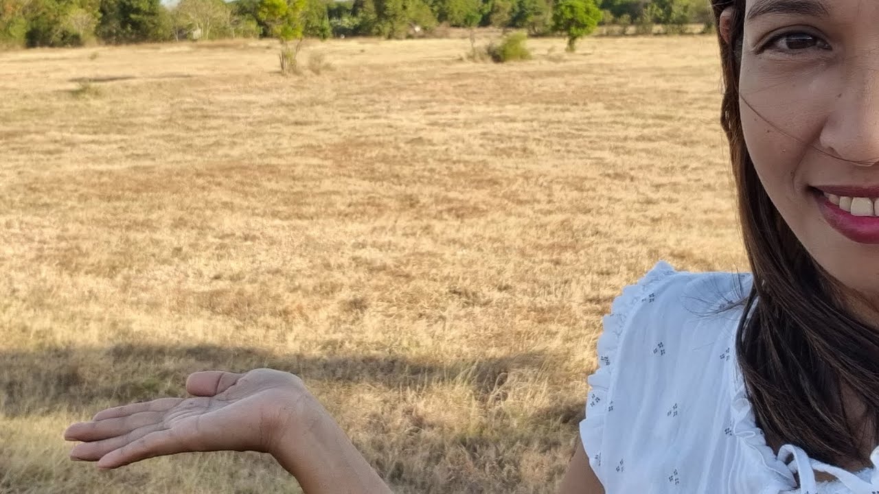 Walking Distance to the ELIJAH SEA BREEZE RESORT here at CALATAGAN ...