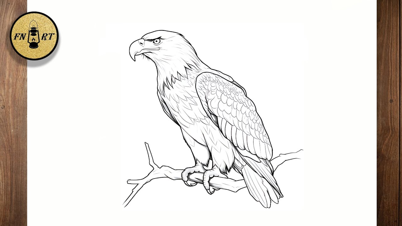 How to draw an eagle sitting on a branch easy for beginners - YouTube