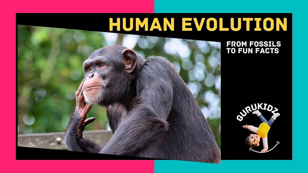 Human Evolution From Fossils to Fun Facts for Kids by GURUKIDZ - YouTube