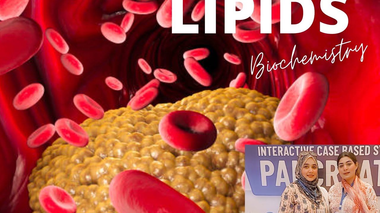 Biochemistry Lipids Classification Function Metabolism - YouTube