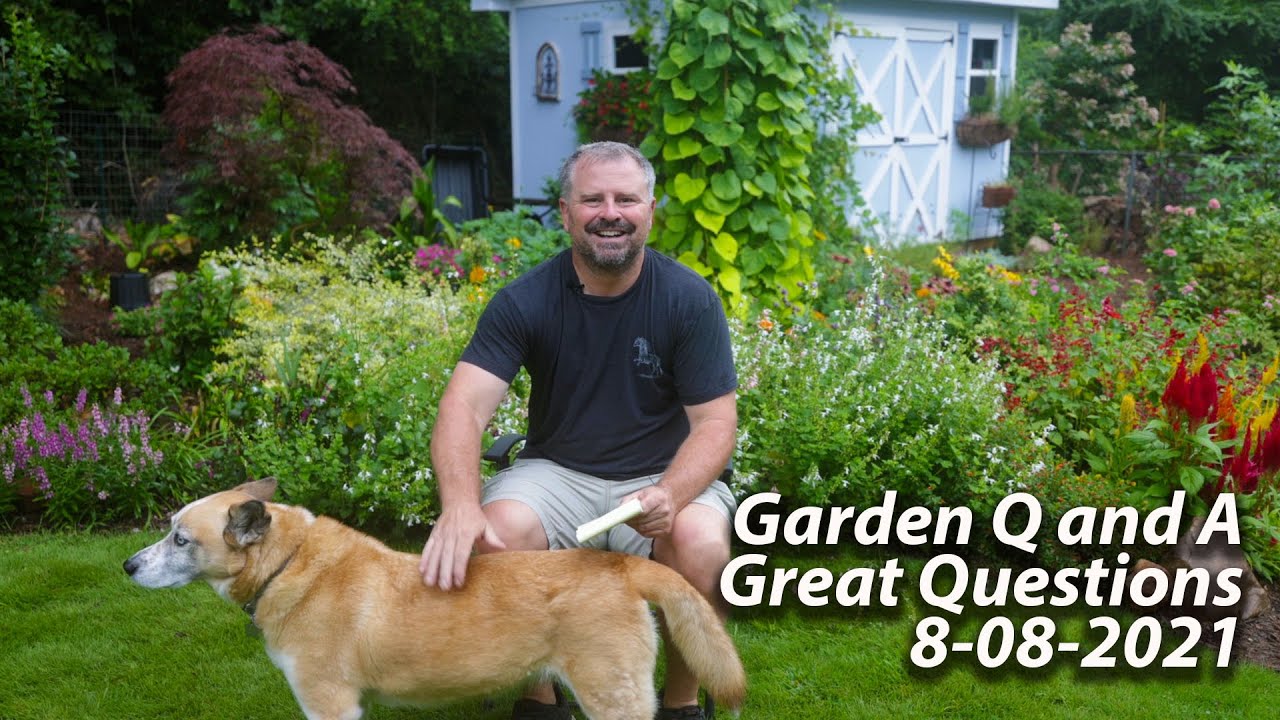 Garden Q and A - Great Questions - Jim Putnam - YouTube