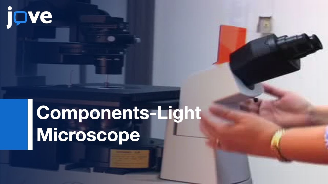Major Components Of Light Microscope l Protocol Preview - YouTube