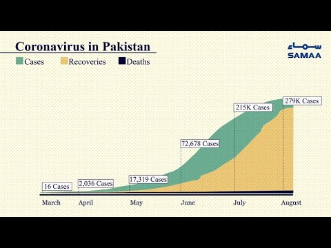Pakistan coronavirus daily cases graph | August 06 2020 - YouTube