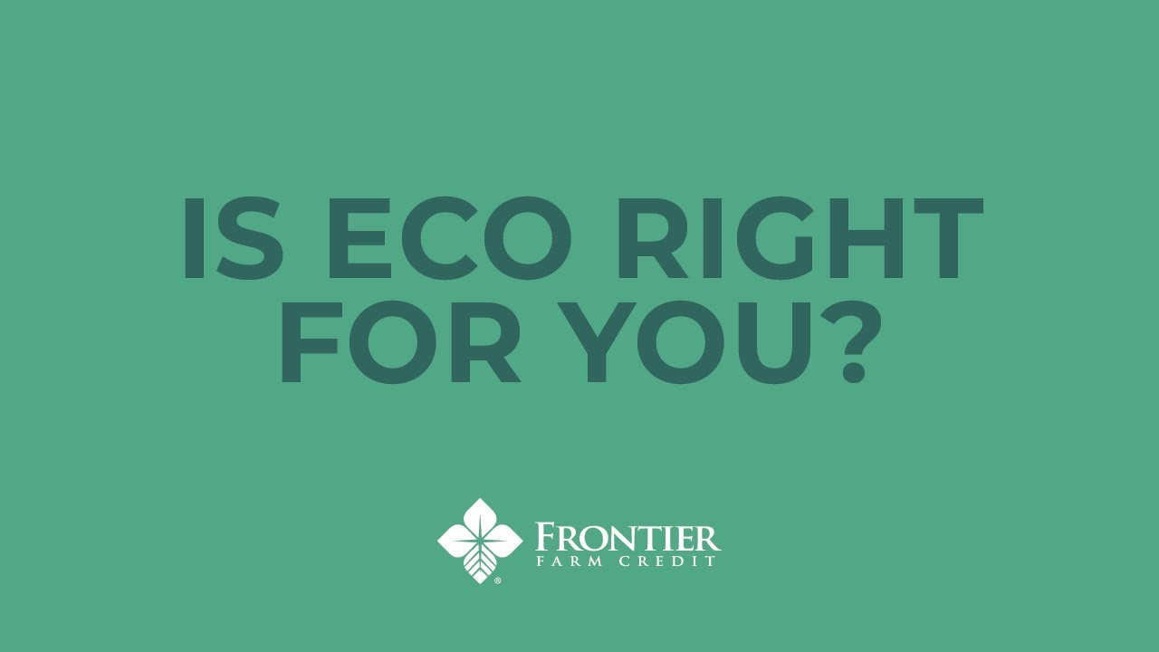 How Enhanced Coverage Option (ECO) for Crop Insurance Works - YouTube