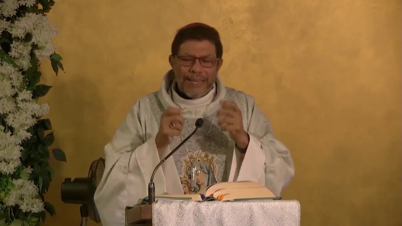 Homily - Feast of the Birth of the Blessed Virgin Mary - 8th Sept 2020 ...