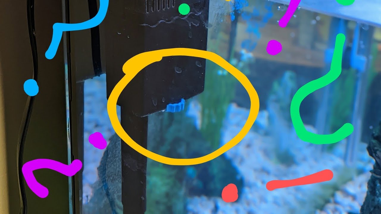 Tidal 75 Seachem Aquarium Filter Review (See comments for which way to ...