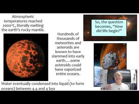 AP Bio Topic 7.13: Origins of Life on Earth - YouTube