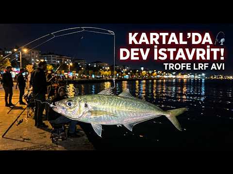 KARTAL SAHİL LRF BALIK AVI | Trofe İstavrit & Efsane Kadro (14 Ağustos 2026)