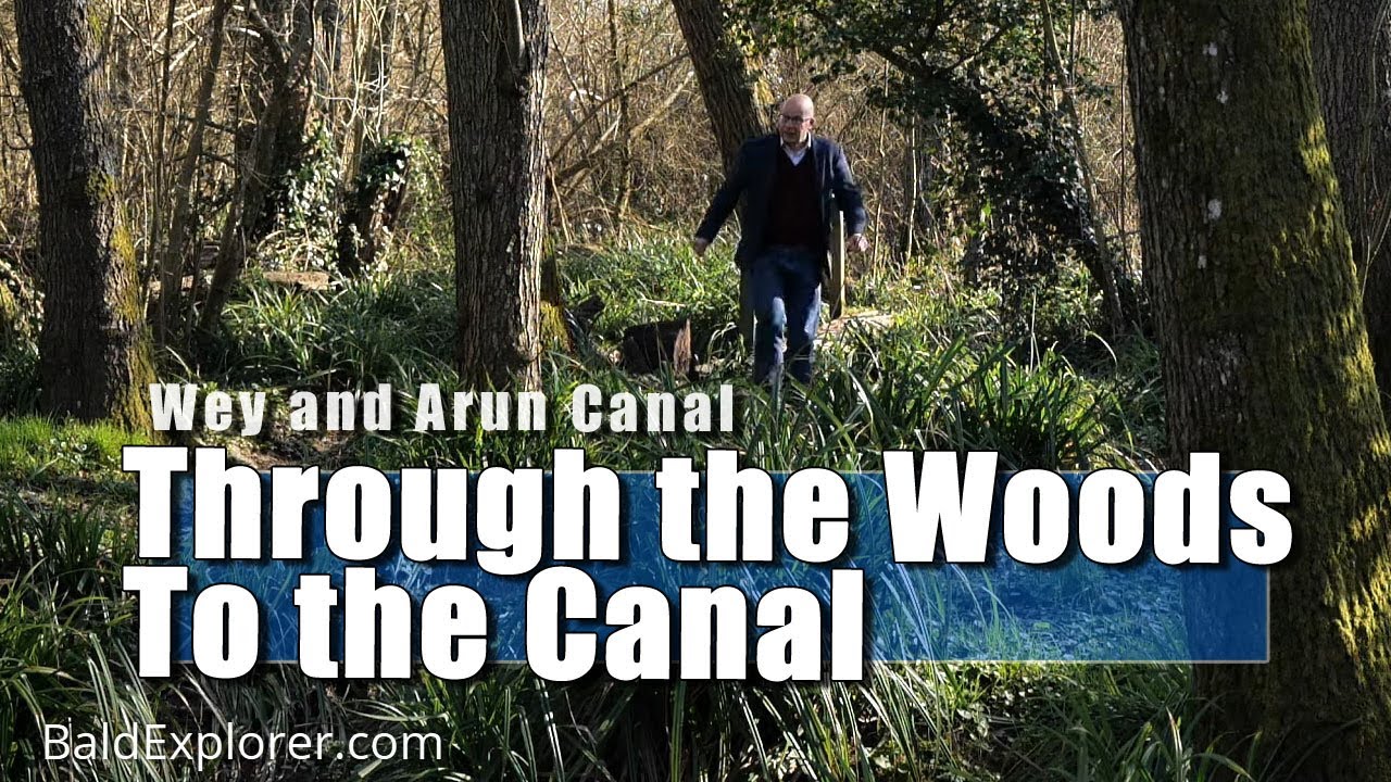 Spring is in the Air as I walk to the Rowner Lock. - YouTube