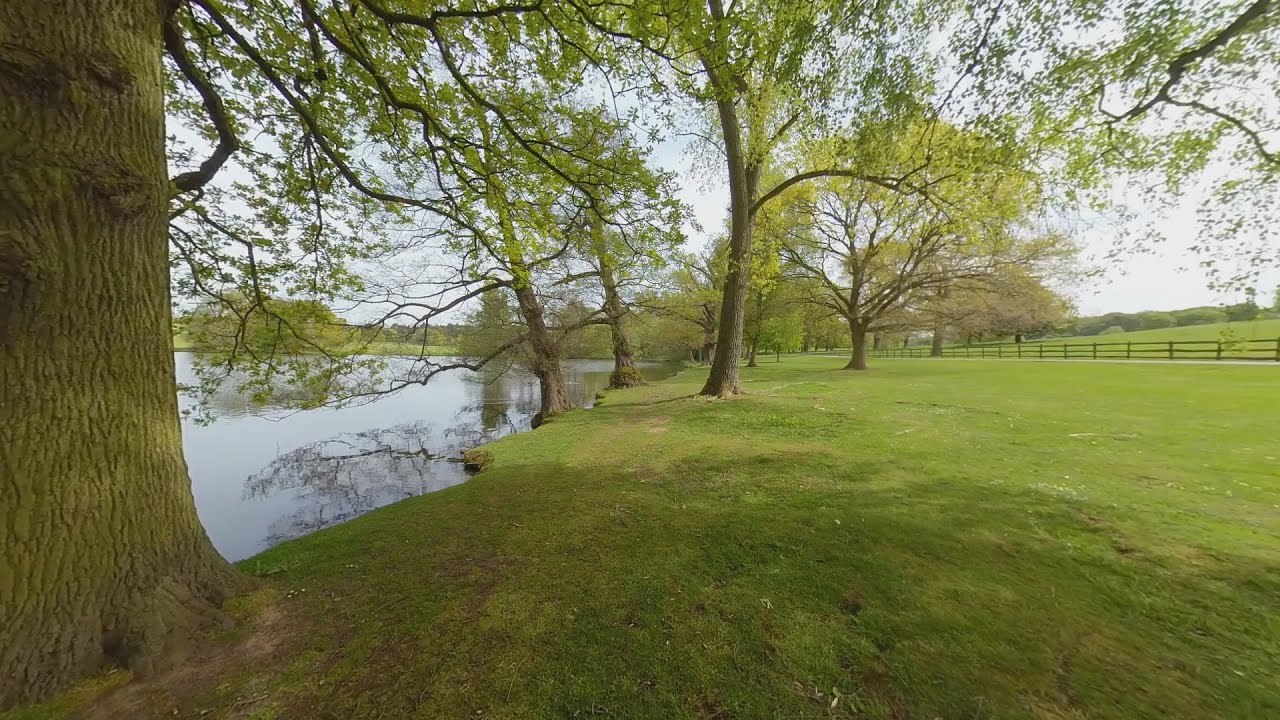 Under the Trees - Locko Park - YouTube