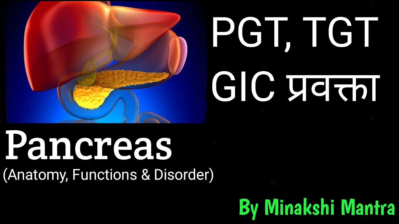 Pancreas (Anatomy, Functions, Hormones & Disorders) || PGT, TGT, GIC ...