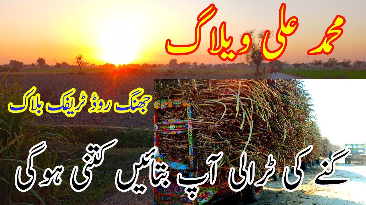 New video || Pakistani village life Vlogs || village life Vlogs || VLOG ...