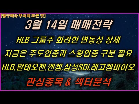 3월14일 알테오젠,SK하이닉스,HLB,HLB제약,레고켐바이오,뉴로메카,한미반도체,에코프로비엠,삼성SDi,에이피알,엔켐 - YouTube