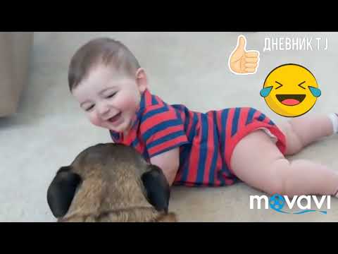 ВСЕ ЛЮДИ ИЩУТ ЭТУ ПРИКОЛЫ 😂 2018