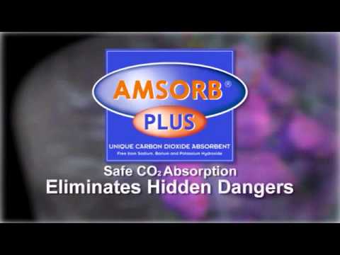 Cal Cálcica Amsorb Plus - Resúmen y Referencias - YouTube