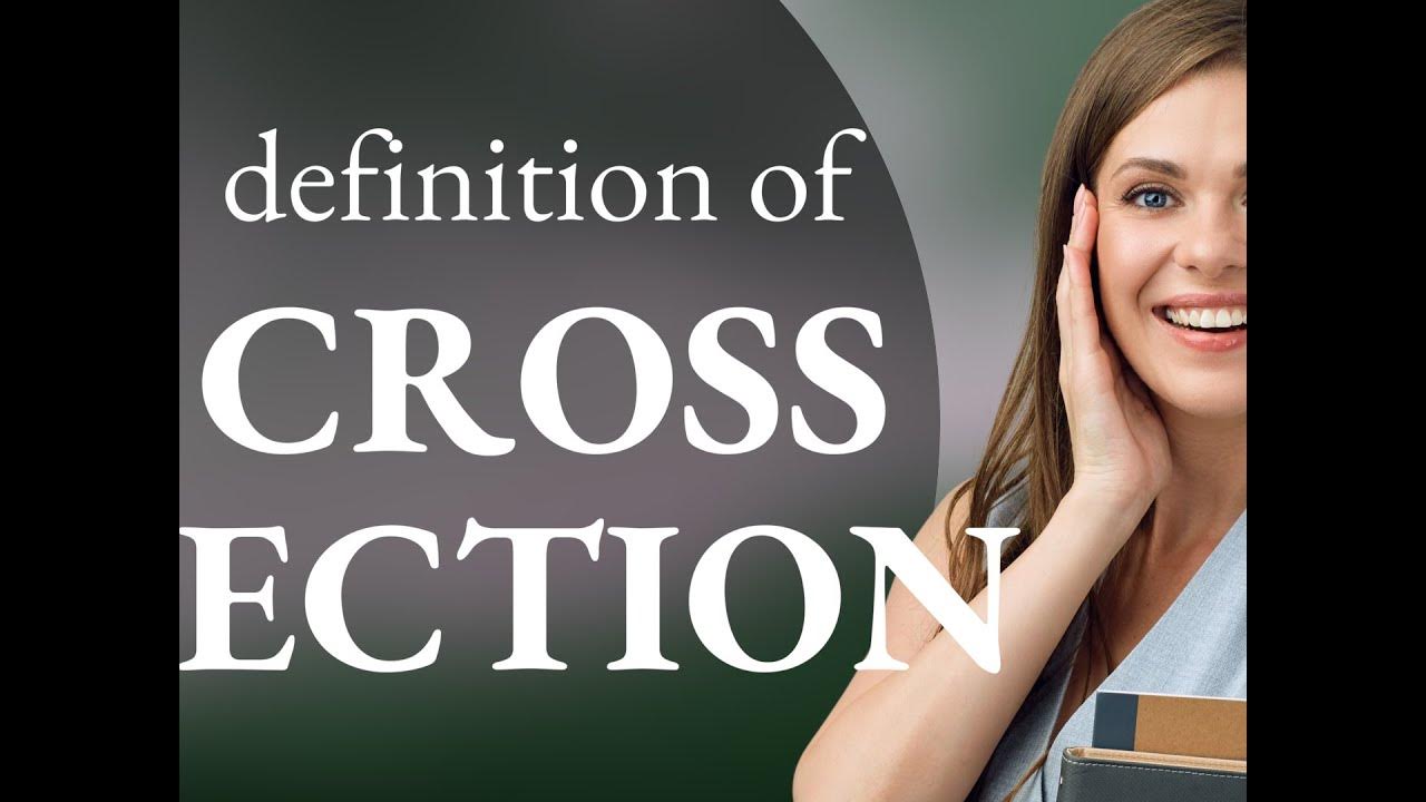 Cross Section Meaning Of CROSS SECTION YouTube cross-section-meaning-of-cross-section-youtube