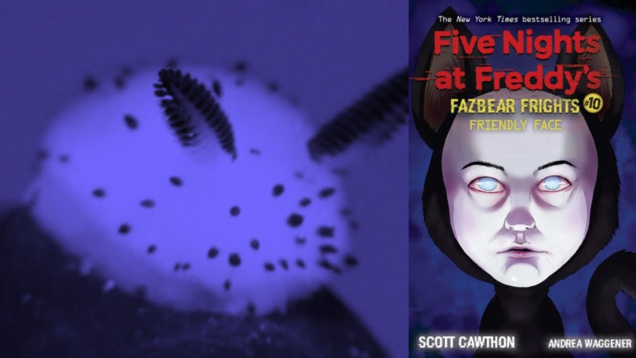 FNaF Fazbear Frights: Sea Bonnies Summary + Lore - YouTube