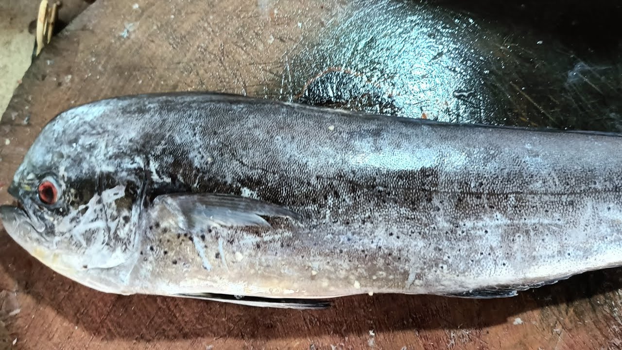 mahimahi/ modha/fish cutting skills #fullvideowatch #plz_subscribe_my ...