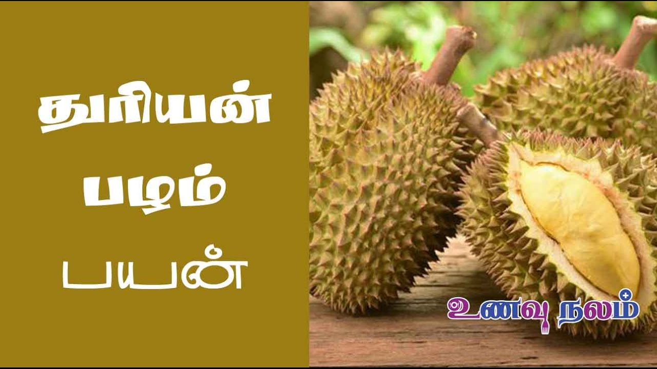 குழந்தை பாக்கியம் பெற டுரியான் பழம் | Durian Fruit Tamil | Kuzhanthai ...