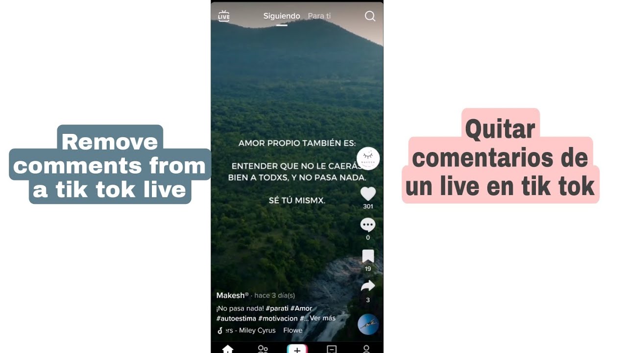 Como Quitar Comentarios De Tik Tok En Un Live Remove Comments From A como-quitar-comentarios-de-tik-tok-en-un-live-remove-comments-from-a