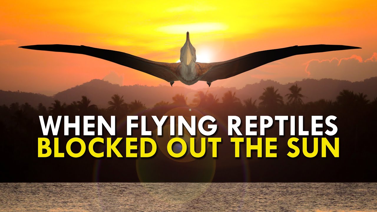 Quetzalcoatlus: When Plane-Sized Reptiles Ruled The Skies - YouTube