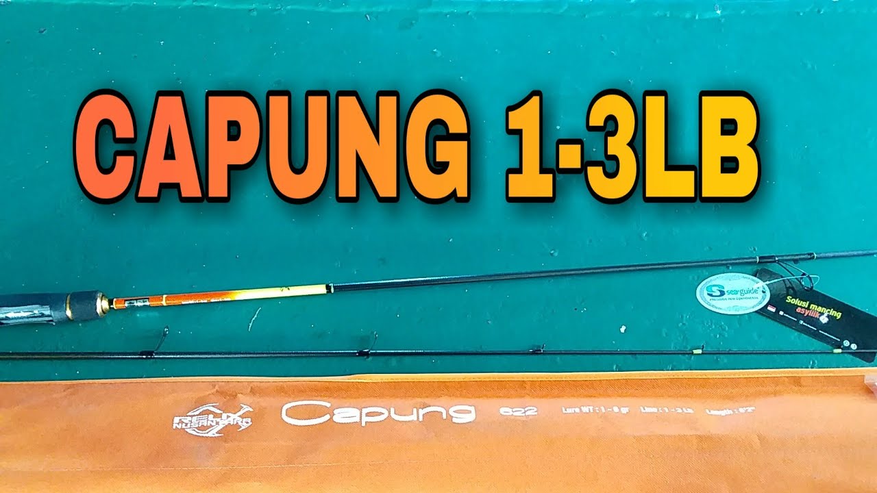 CAPUNG 1-3 LB..!! - YouTube
