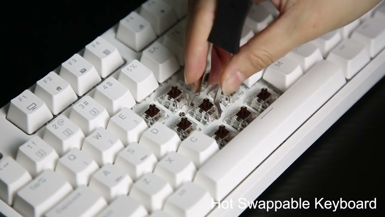 Royal Kludge RK87 87 keys Hot swappable mechanical keyboard with RGB ...