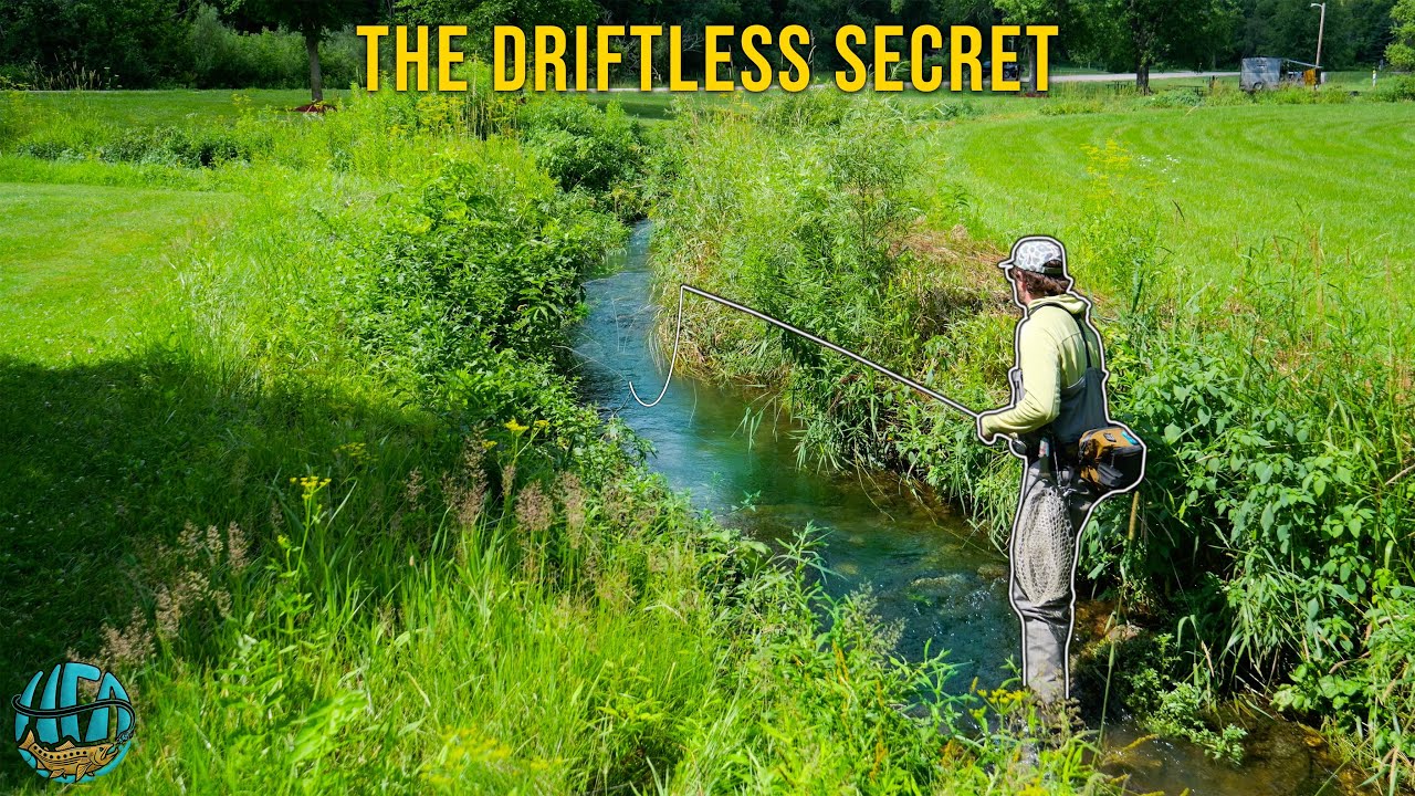 Fly Fishing Tiny Creeks Most People Ignore! (Trout Fishing the Driftless) - YouTube