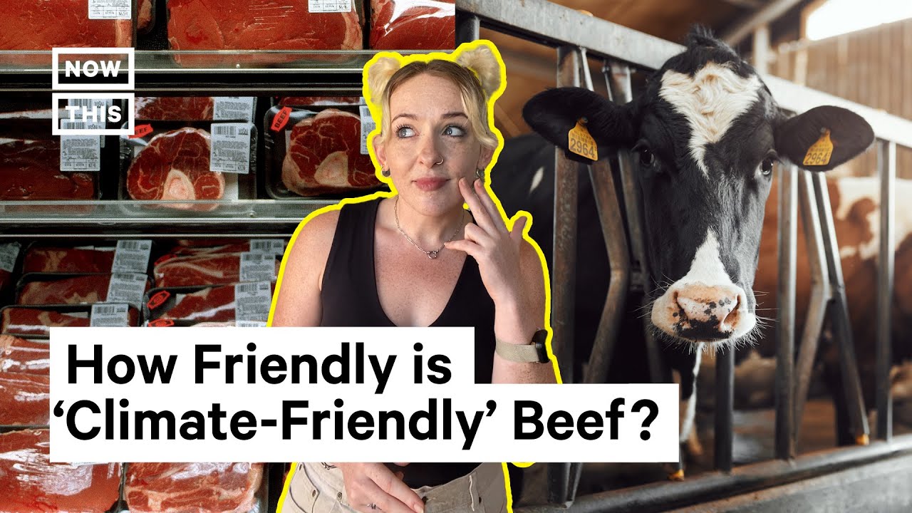 Is ‘Climate-Friendly’ Beef a Load of Bull? - YouTube