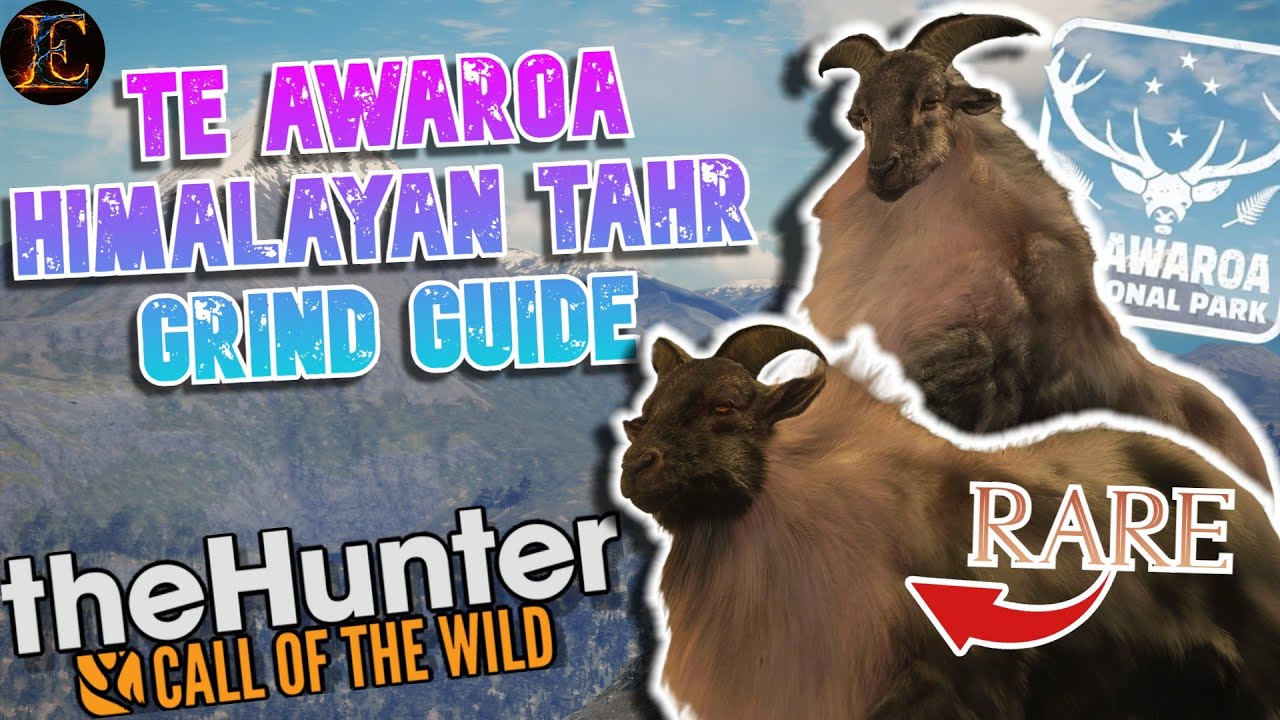 THE ULTIMATE HIMALAYAN TAHR GRIND GUIDE FOR TE AWAROA | The Hunter Call ...