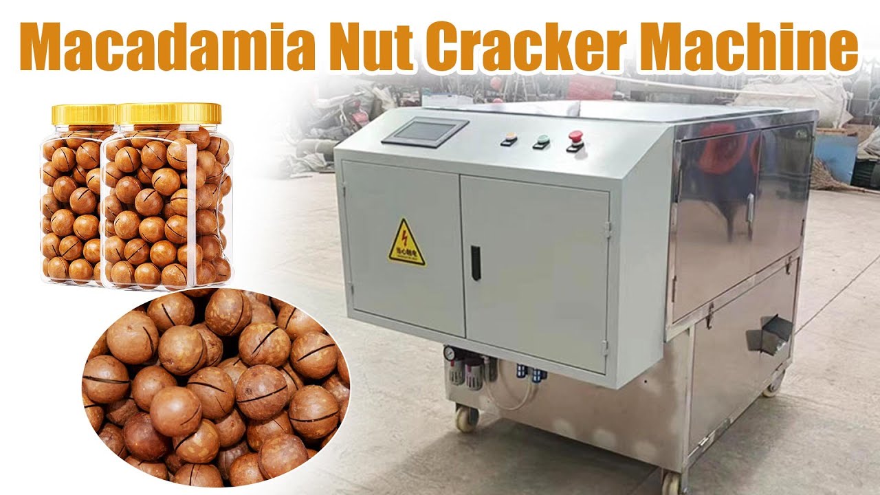 Macadamia Nut Cracker Machine | Adjustable Pre-Cutting for Retail ...