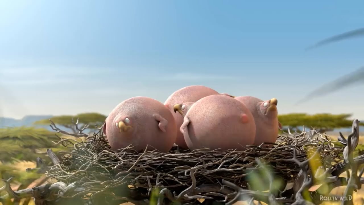 Rollin’ Safari Vultures Slow Motion 2x - YouTube