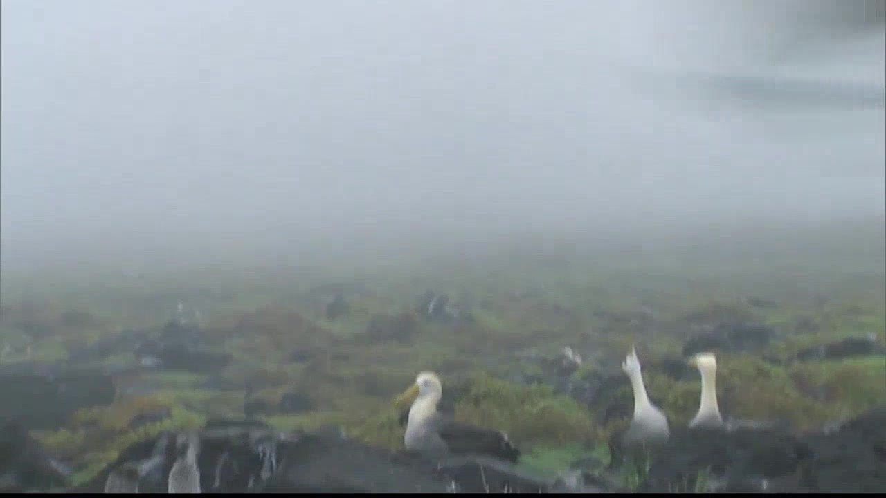 Equator Power of an Ocean Documentary HD - YouTube