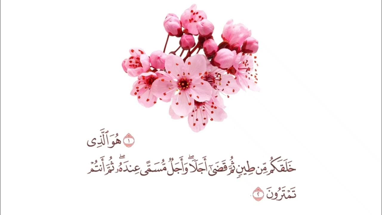 ﴿هُوَ الَّذي خَلَقَكُم مِن طينٍ ثُمَّ قَضى أَجَلًا وَأَجَلٌ مُسَمًّى